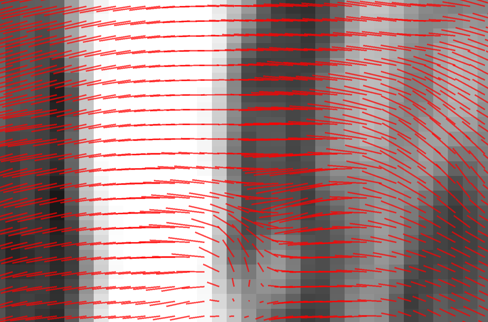 Add arrow to vectors in napari vector layer · Issue #4149 · napari/napari · GitHub