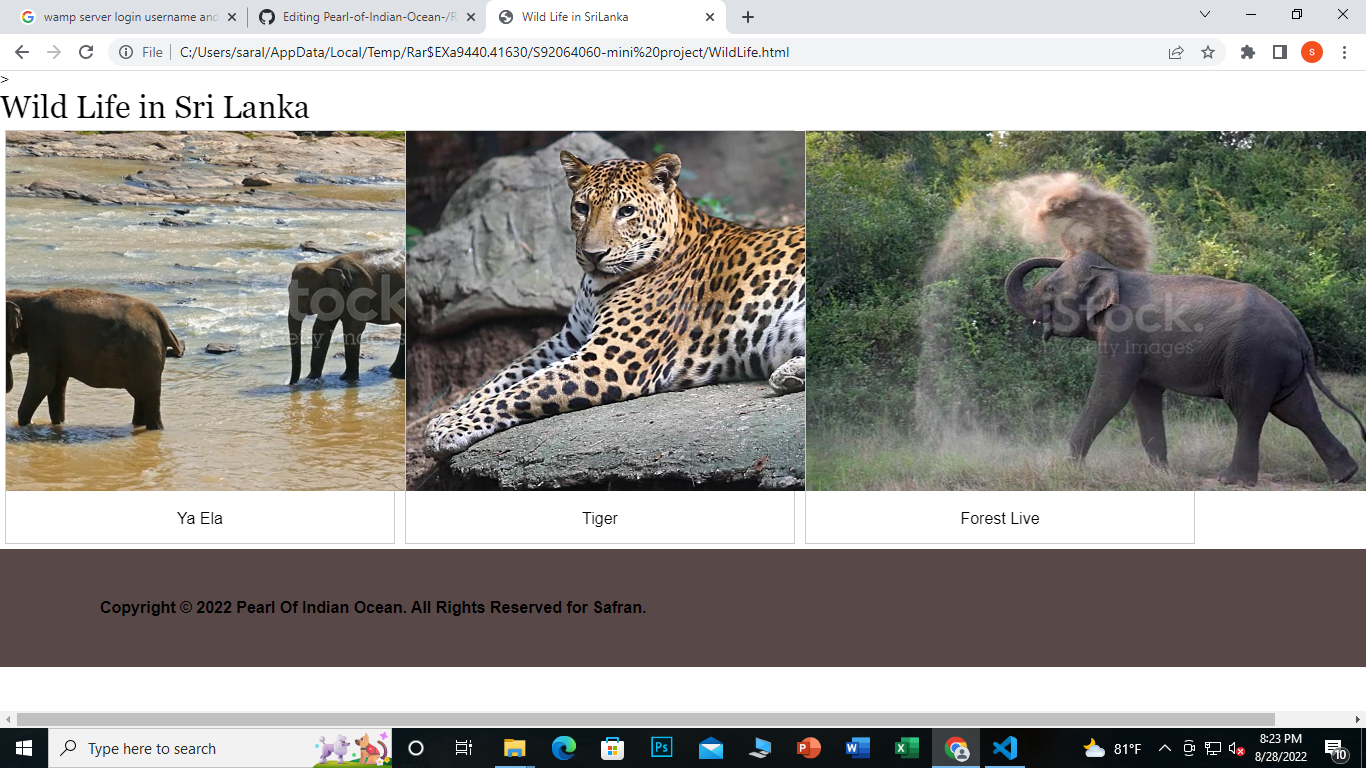 GitHub - nm-safran/Pearl-of-Indian-Ocean-: Tourist website