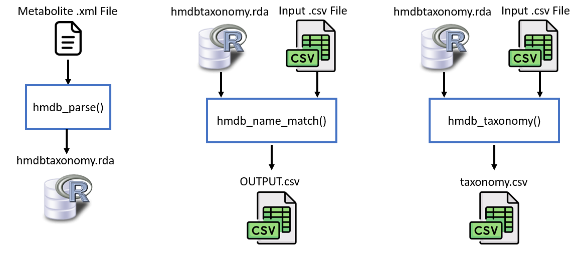GitHub - e-elias/hmdbtaxonomy: R package to parse XML metabolite data, match metabolite names ...
