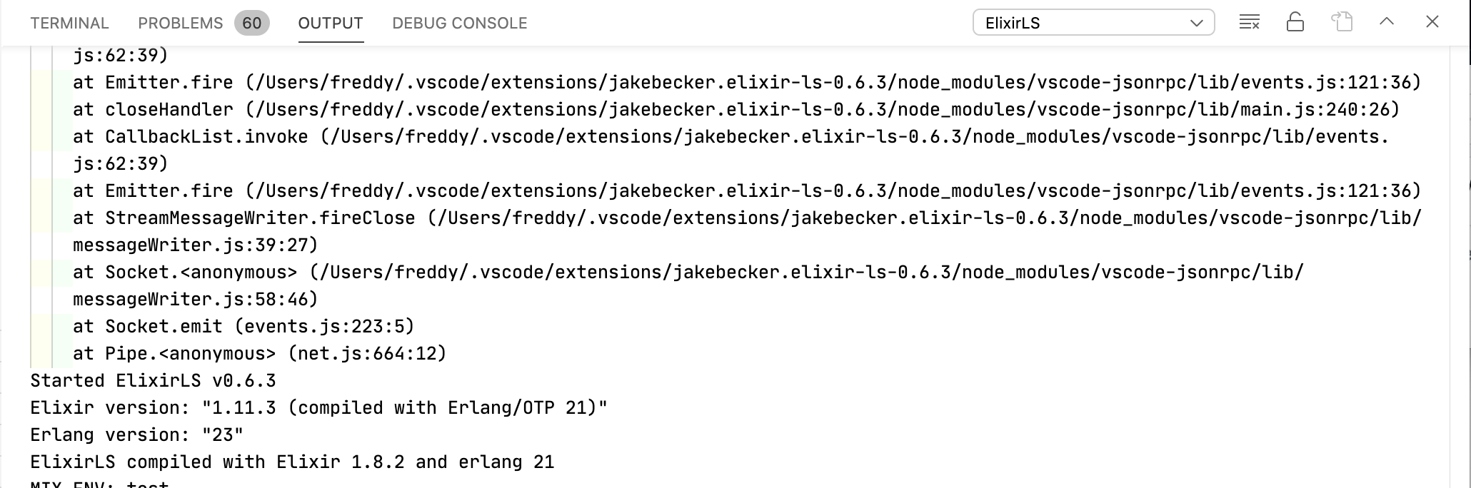 ElixirLS is crashing on ElixirLS.LanguageServer.Server.handle ...