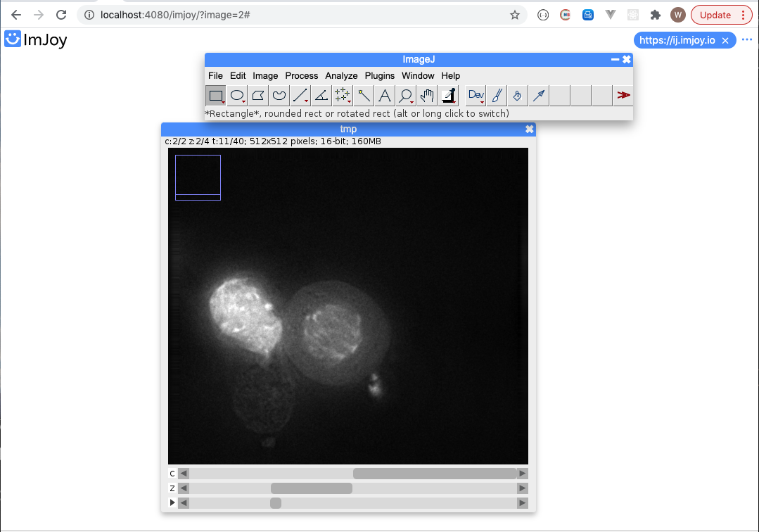 GitHub - will-moore/omero-imjoy: OMERO.web plugin to open Images in ImJoy or ImageJ.JS