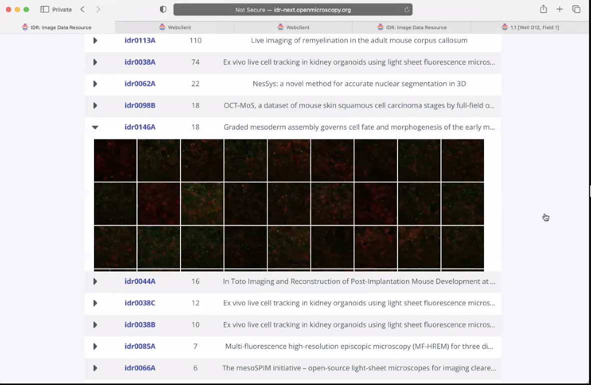 Bug: filter images by container name · Issue #79 · ome/omero_search_engine · GitHub