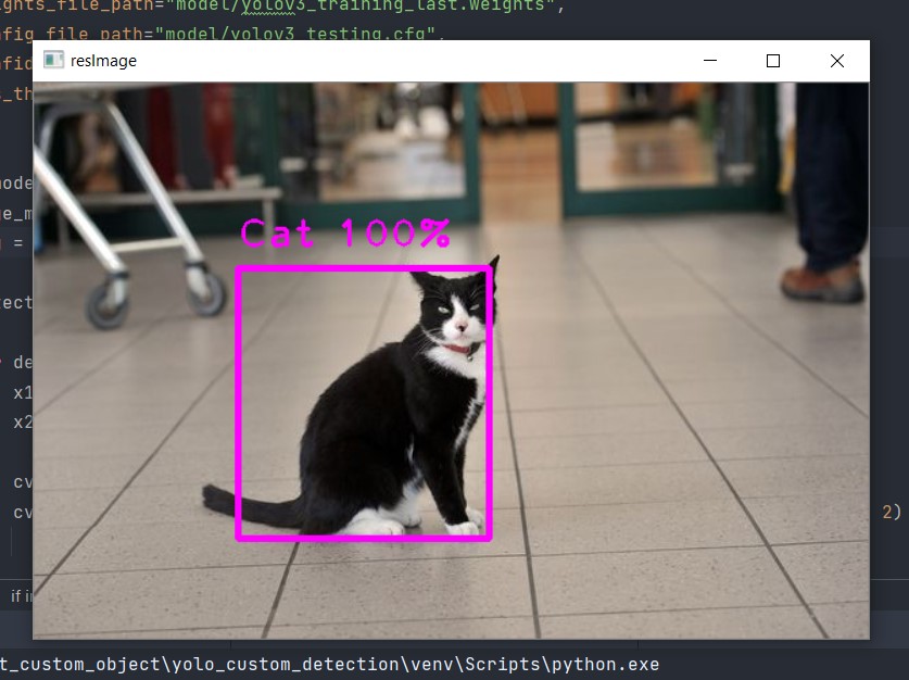 GitHub - Shift-Happens/YOLOv3_CatDetector: I've trained a YOLO model to ...