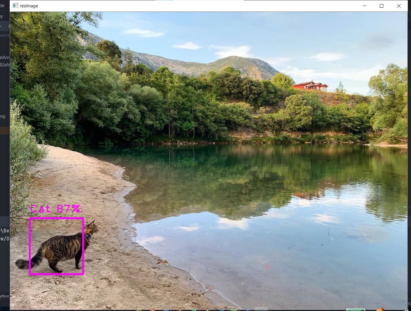 GitHub - Shift-Happens/YOLOv3_CatDetector: I've trained a YOLO model to ...