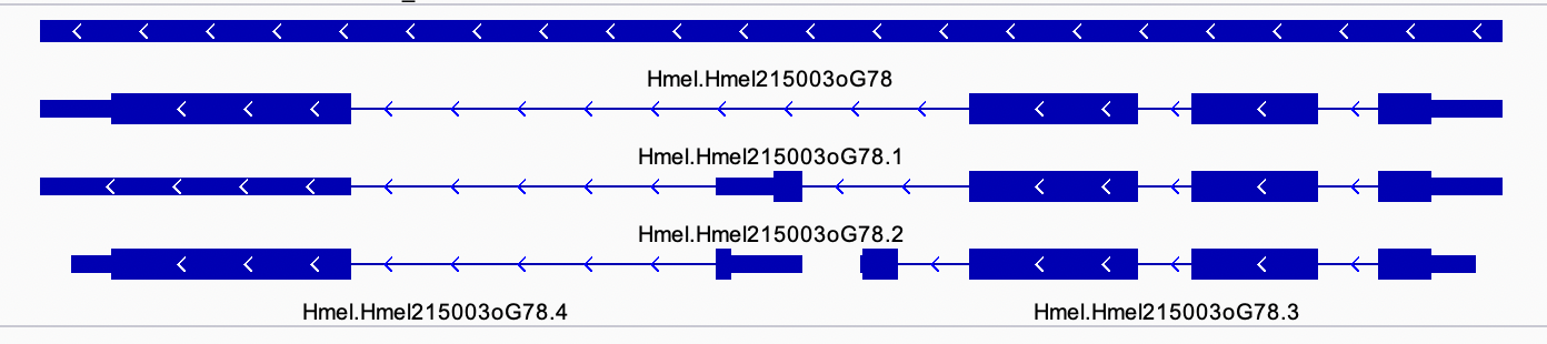 CAT consensus_gene_set output · Issue #256 · ComparativeGenomicsToolkit/Comparative-Annotation ...