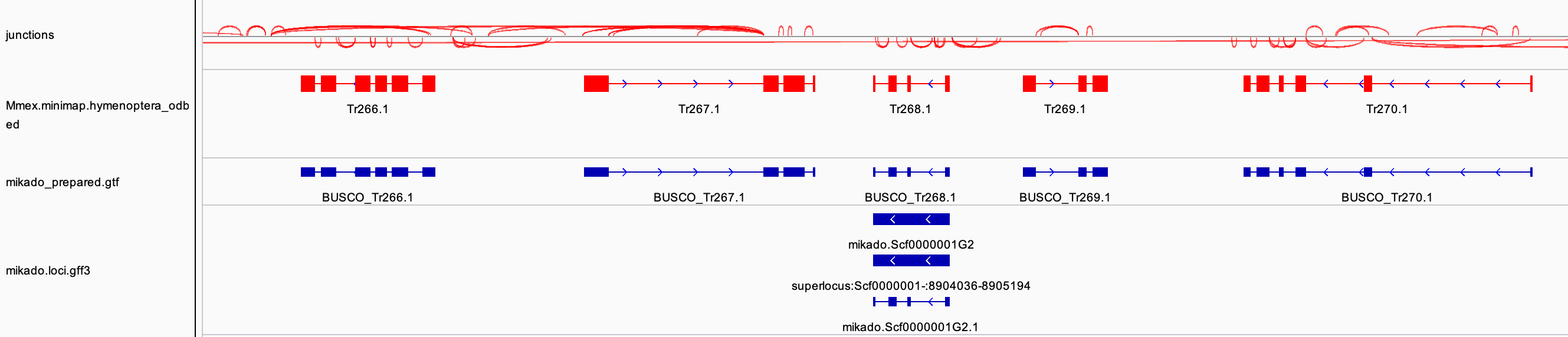 Optimising Scoring file · Issue #446 · EI-CoreBioinformatics/mikado · GitHub