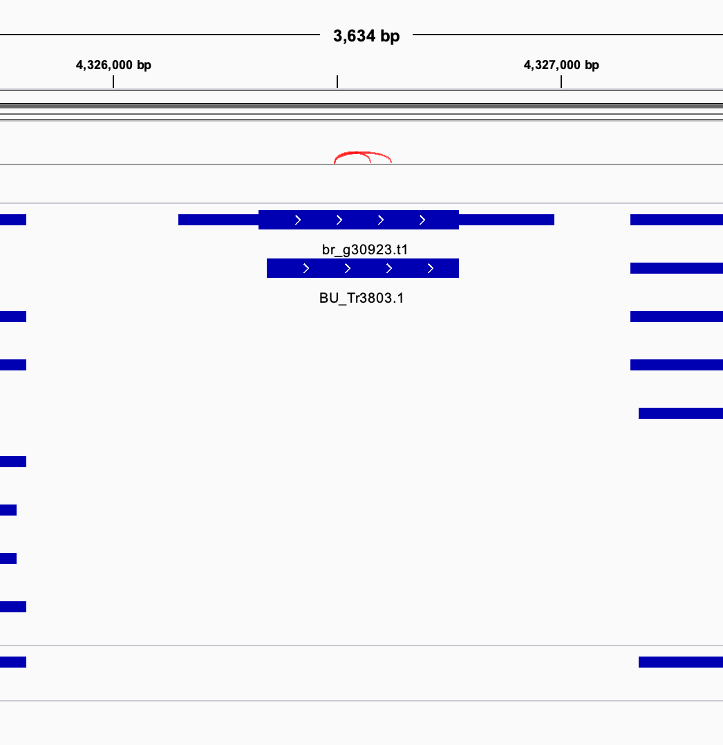 Optimising Scoring file · Issue #446 · EI-CoreBioinformatics/mikado · GitHub