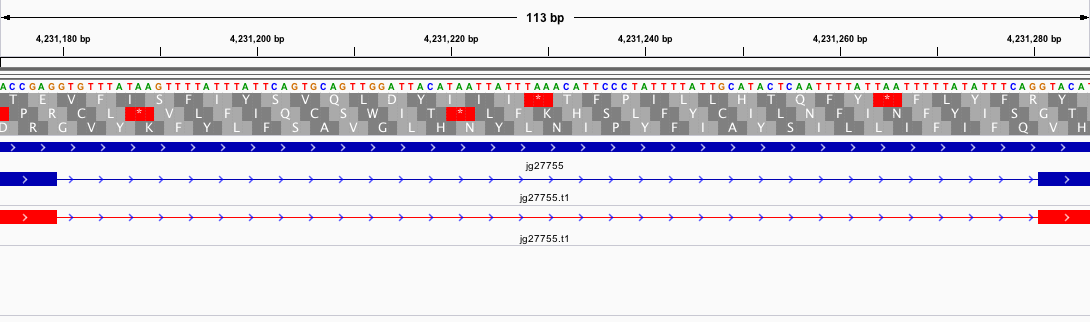 "Couldn't classify" and "fails validation" warnings · Issue #29 · EVidenceModeler ...