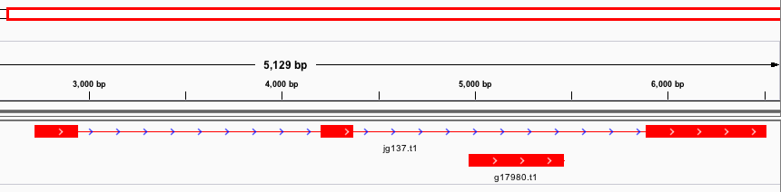 Mikado Prepare WARNINGS · Issue #332 · EI-CoreBioinformatics/mikado · GitHub