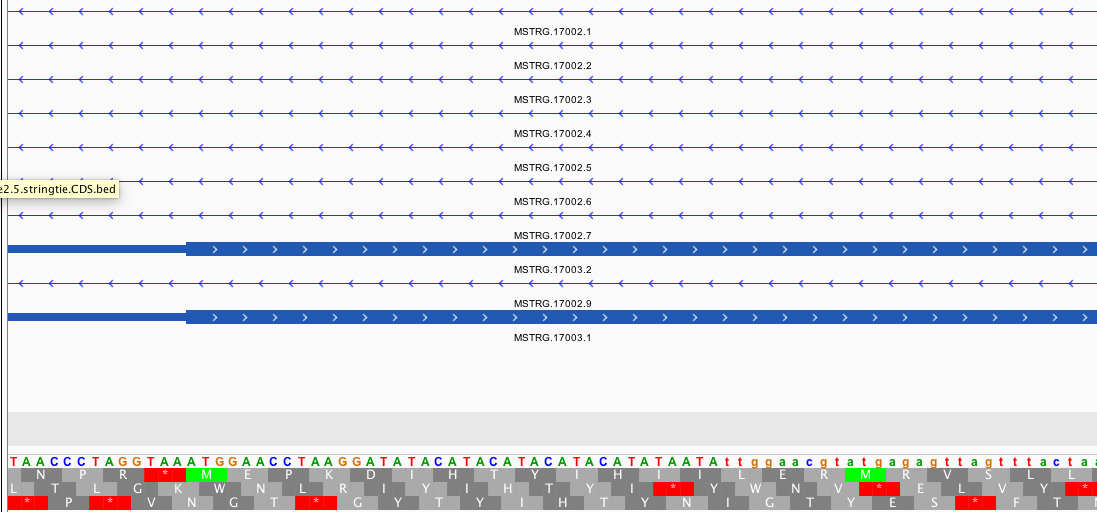 Mikado Prepare WARNINGS · Issue #332 · EI-CoreBioinformatics/mikado · GitHub