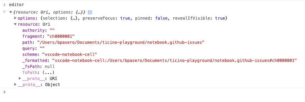 A second instance of a notebook is opened when debugging with two ...