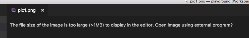 Image viewer should give an indicatin when a image is too large to ...