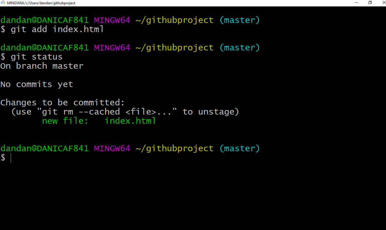 BNHR Internship | Getting Started with Git & Github | Danica Danisse C. Ramirez