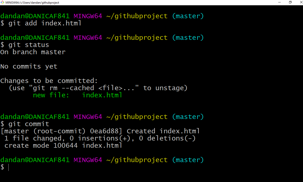 BNHR Internship | Getting Started with Git & Github | Danica Danisse C. Ramirez