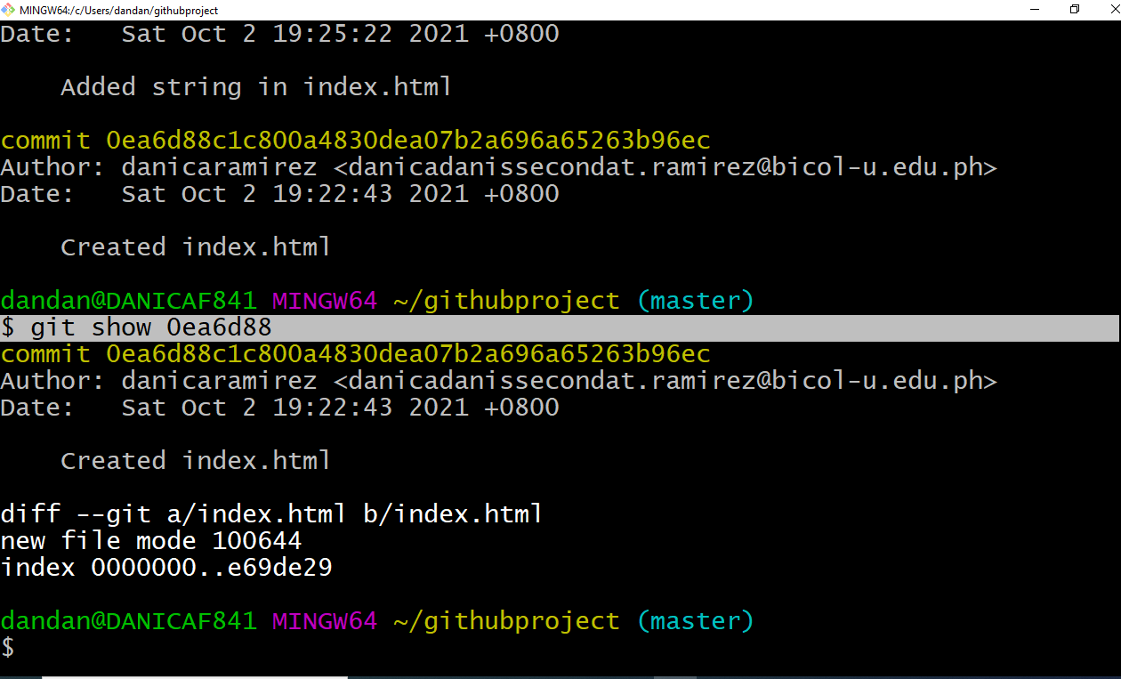 BNHR Internship | Getting Started with Git & Github | Danica Danisse C. Ramirez