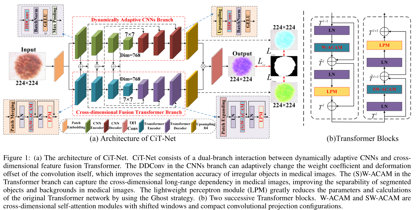 What is the difference between CiT-Net and TEC-Net? · Issue #1 · SR0920/CiT-Net · GitHub