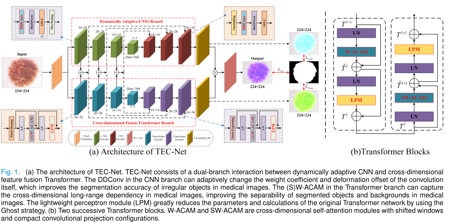 What is the difference between CiT-Net and TEC-Net? · Issue #1 · SR0920/TEC-Net · GitHub