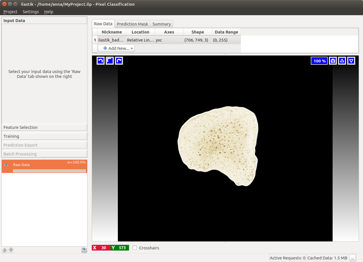 Pixel Classification "Precondition violation" · Issue #1802 · ilastik ...