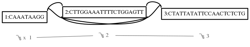 inversions are off by one with vg construct -S · Issue #2072 · vgteam/vg · GitHub