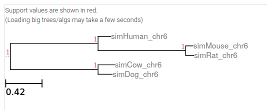 Phylogenetics tree · Issue #163 · ComparativeGenomicsToolkit/cactus ...
