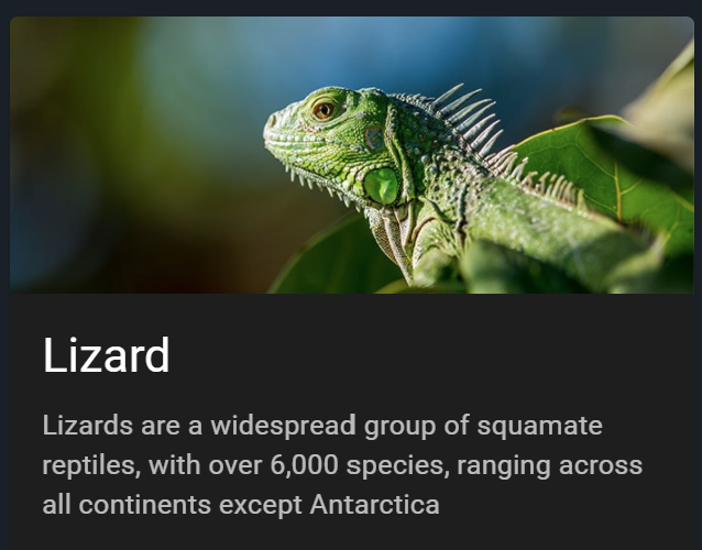 GitHub - suinj8/comp-prac