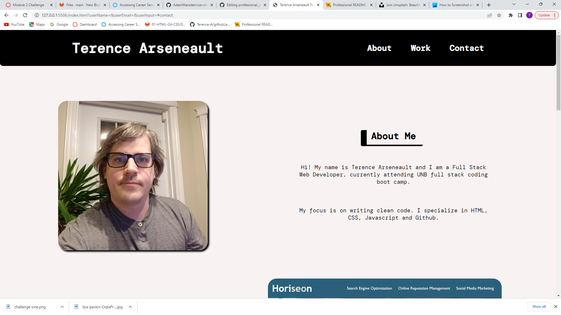 Github Terence Aprofessionalportfolio Challenge 2 Professional Portfolio