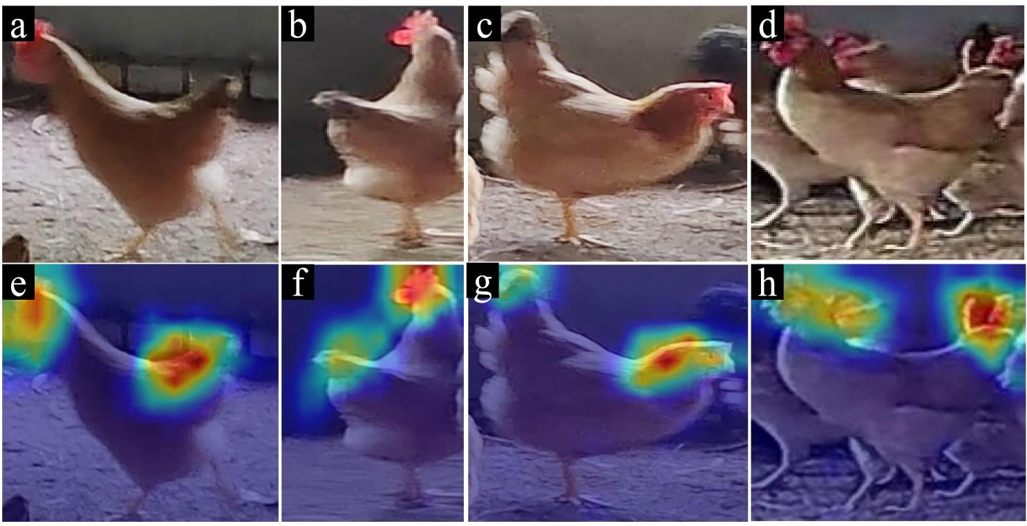 GitHub - PuristWu/Identifying-gender: Code for an improved ResNet-50 ...