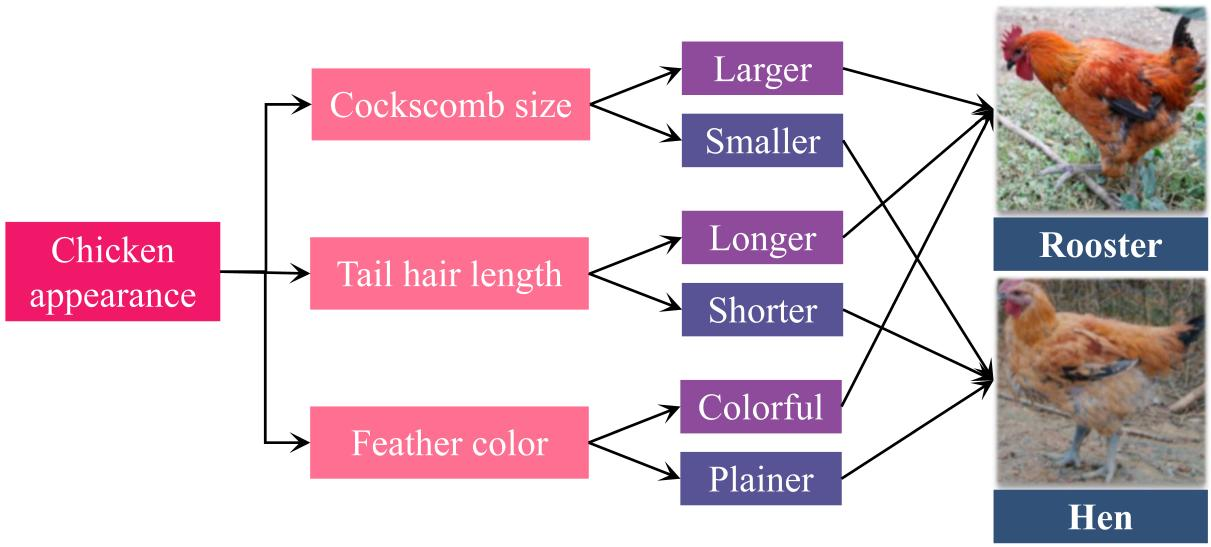 GitHub - PuristWu/Identifying-gender: Code for an improved ResNet-50 ...