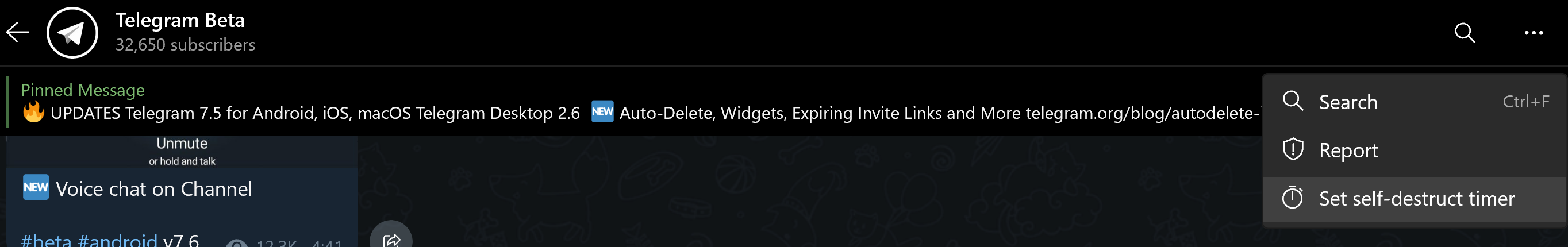 A self-destruct timer button is present within channels · Issue #2281 · UnigramDev/Unigram · GitHub