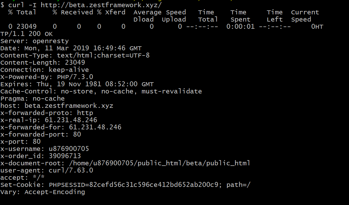 Response send method not working as it should be · Issue #168 · alphazframework/framework · GitHub