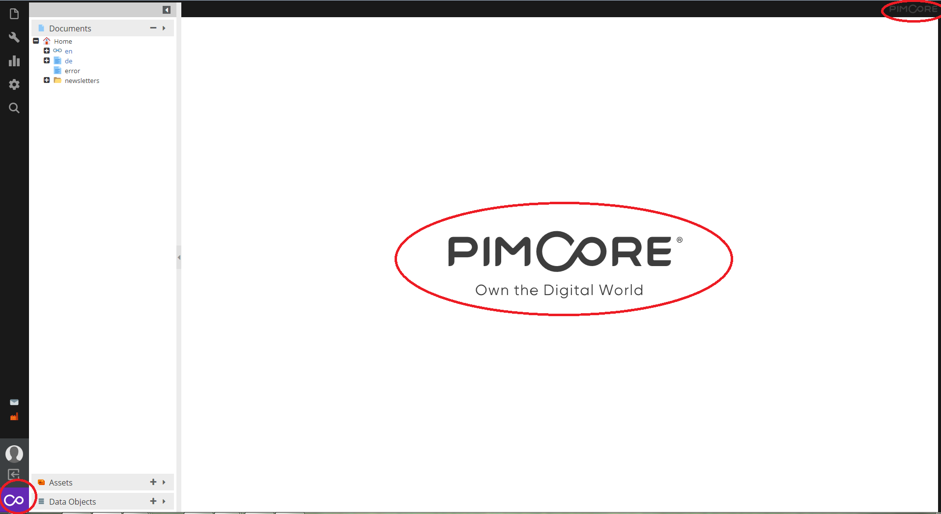 Backend Branding with Custom Logo · Issue #1793 · pimcore/pimcore · GitHub