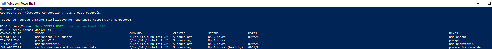 [Bug] Settings docker.host using ssh:// or tcp:// don't work, ssh tunnel work. · Issue #2066 ...