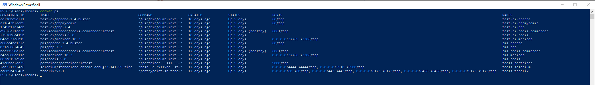 [Bug] Settings docker.host using ssh:// or tcp:// don't work, ssh tunnel work. · Issue #2066 ...