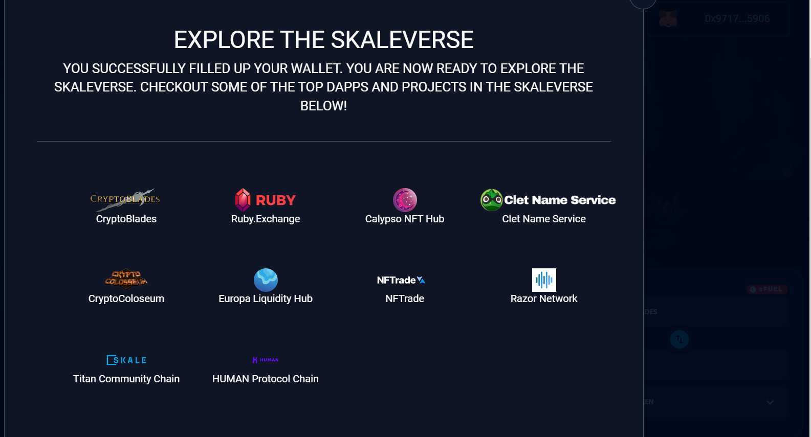 Metaport Integration for SKALE · Issue #1572 · CryptoBlades/cryptoblades · GitHub