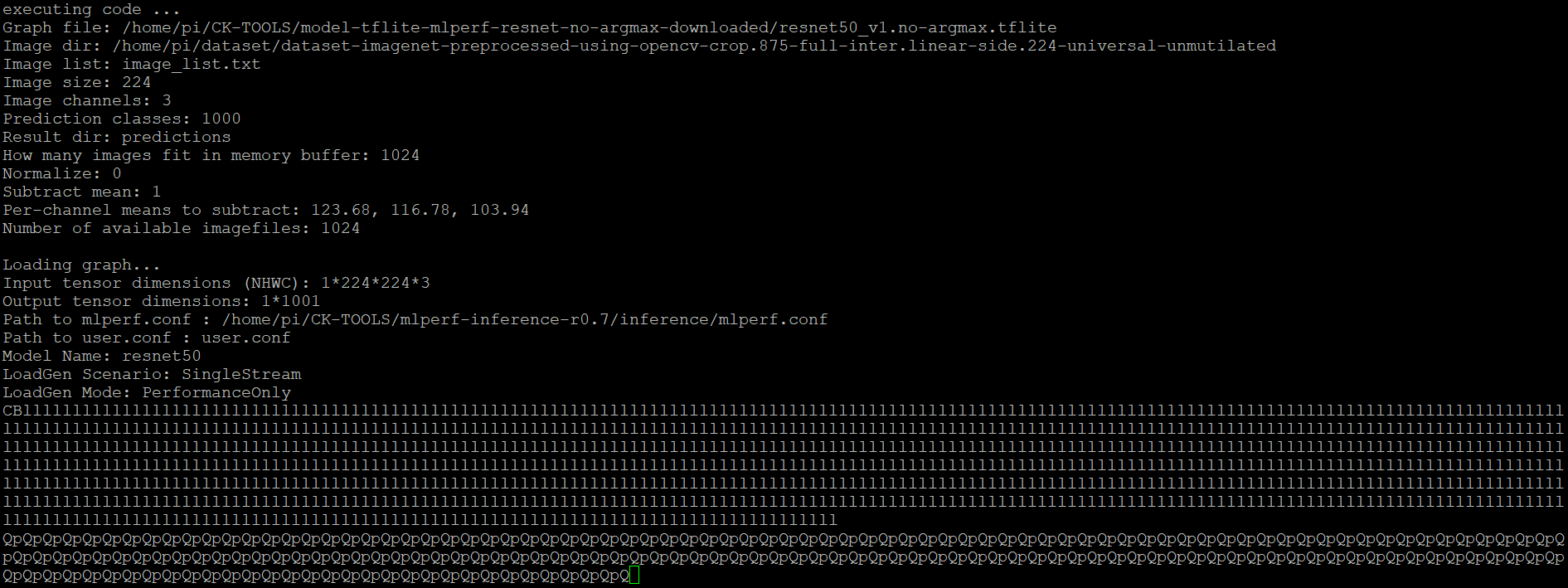 Strange character being streamed on command line when running image classification benchmark ...
