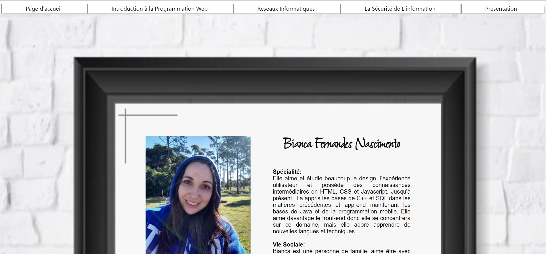 GitHub - BFN100/TP_Website: This project was a work done for the Introduction to Web Programming.