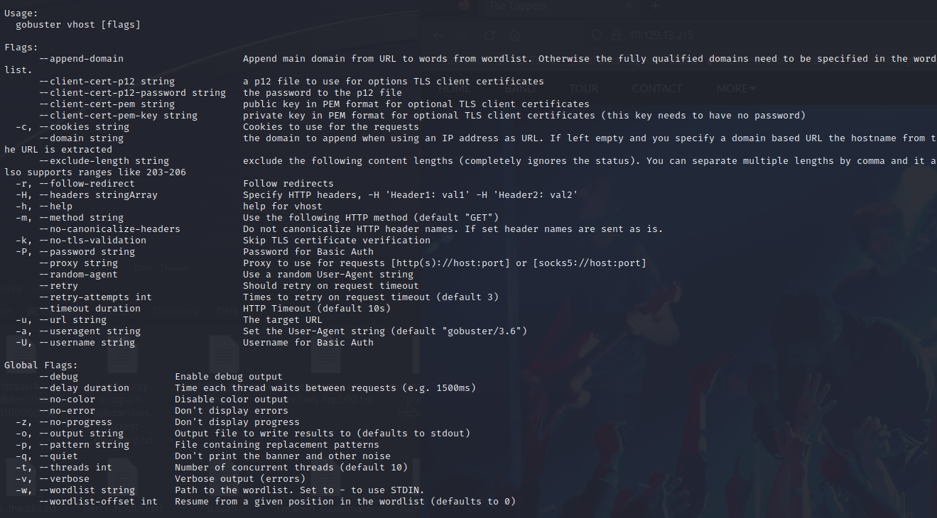 Can't filter on status codes · Issue #289 · OJ/gobuster · GitHub