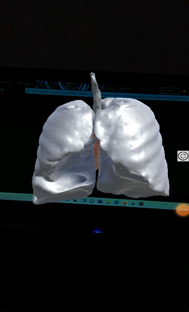 GitHub - Shilajit2002/Human-Body-3d-Anatomy-App