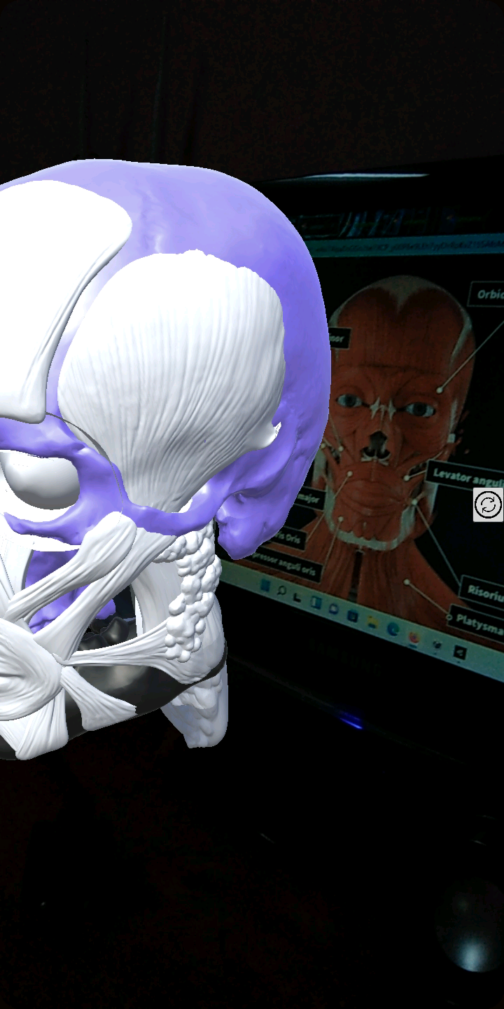 GitHub - Shilajit2002/Human-Body-3d-Anatomy-App