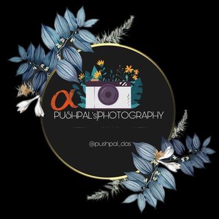 PushpalDas (Pushpal Das) · GitHub