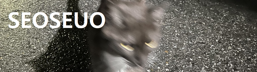 seoseuo (서승) · GitHub