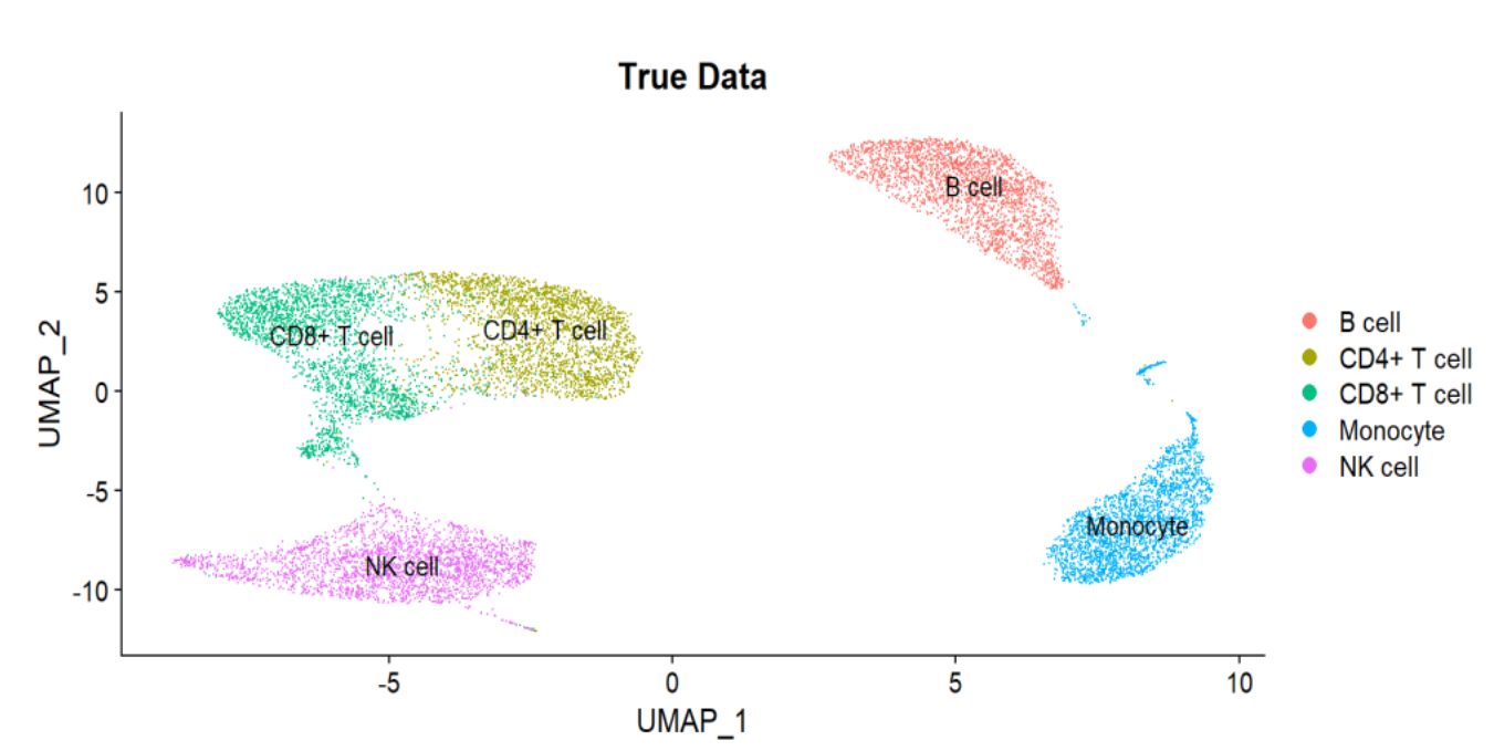 GitHub - carde734/Identifying-cell-types-within-a-single-cell-data-biological: Single cell data ...