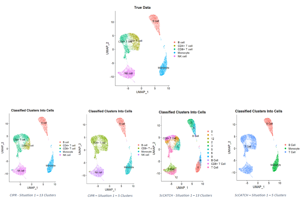 GitHub - carde734/Identifying-cell-types-within-a-single-cell-data ...