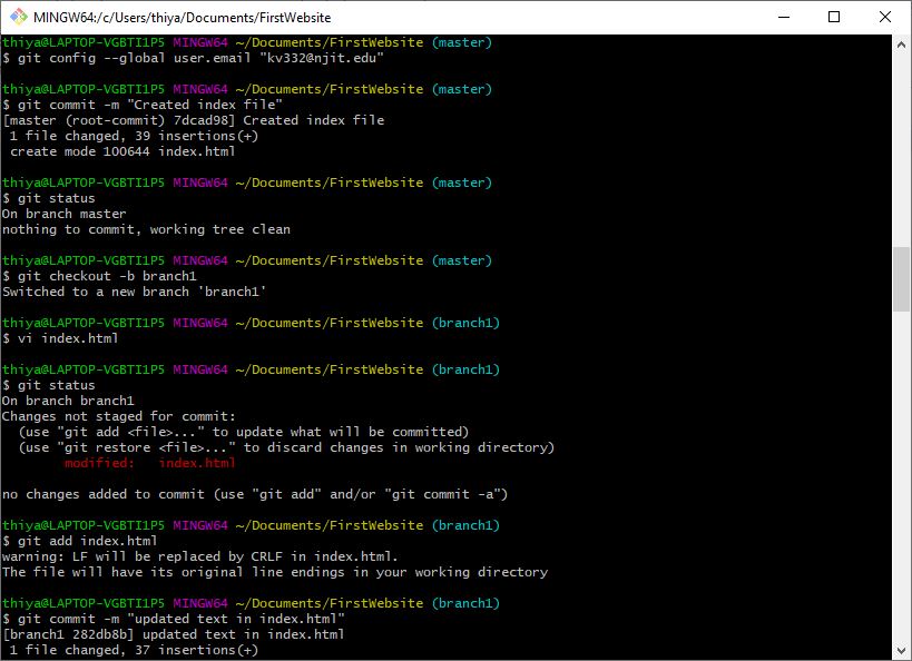 GitHub - njitvjk/FirstWebSite
