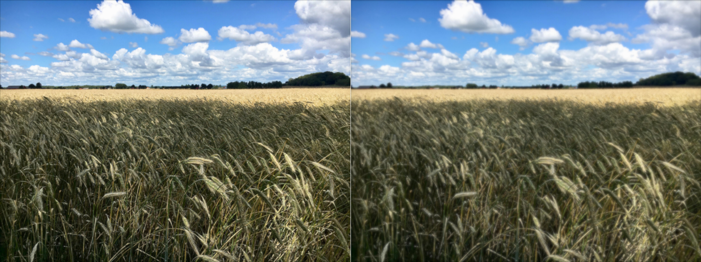 GitHub - donghyun2ee/2D-digital-Compositing: - 홍익대학교- 2D디지털합성