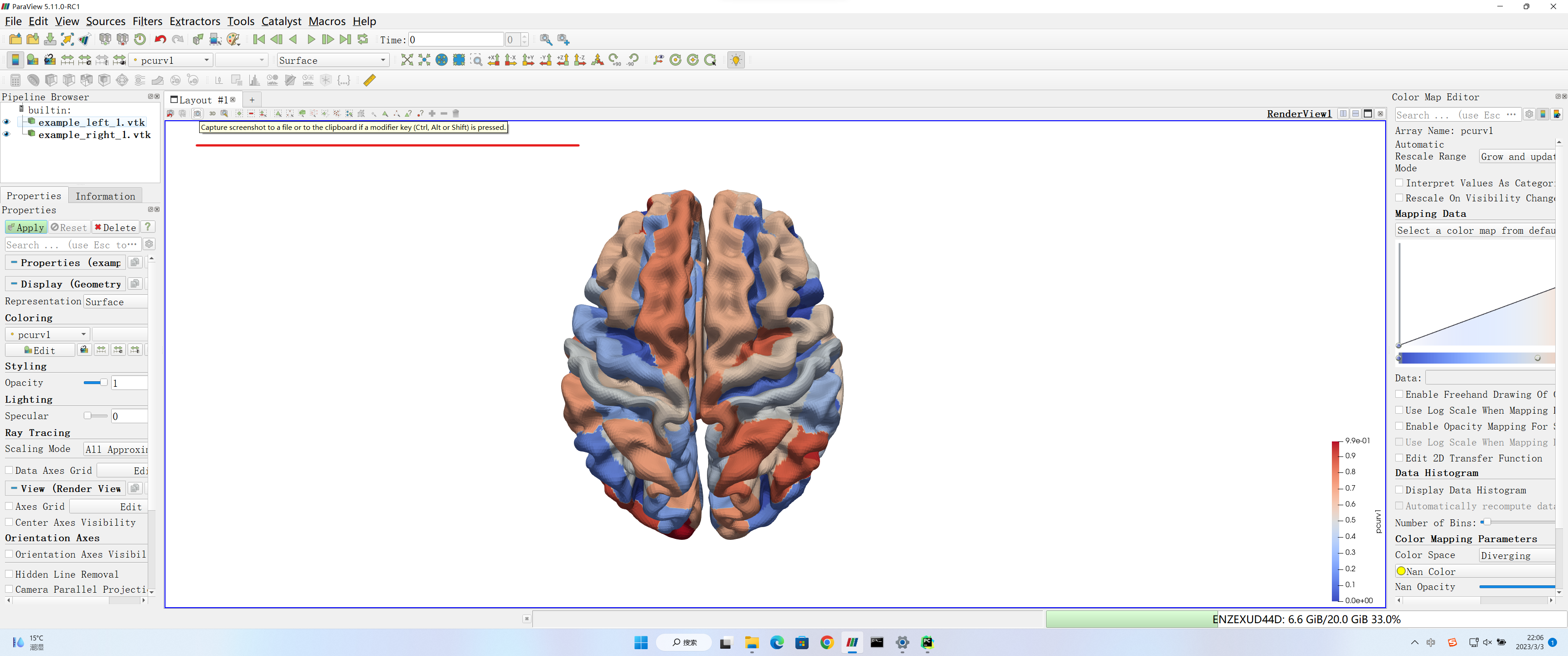 GitHub - EnzeXu/Brain_Surface