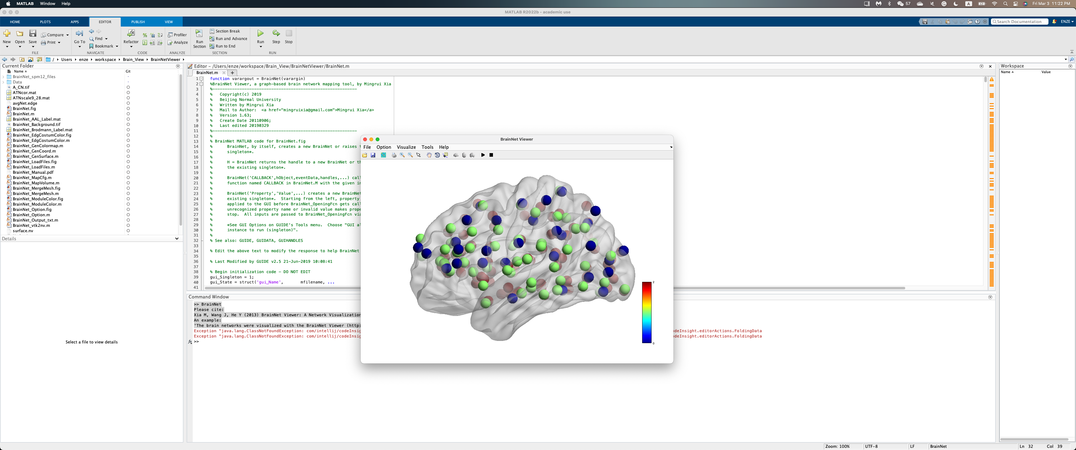 GitHub - EnzeXu/Brain_View