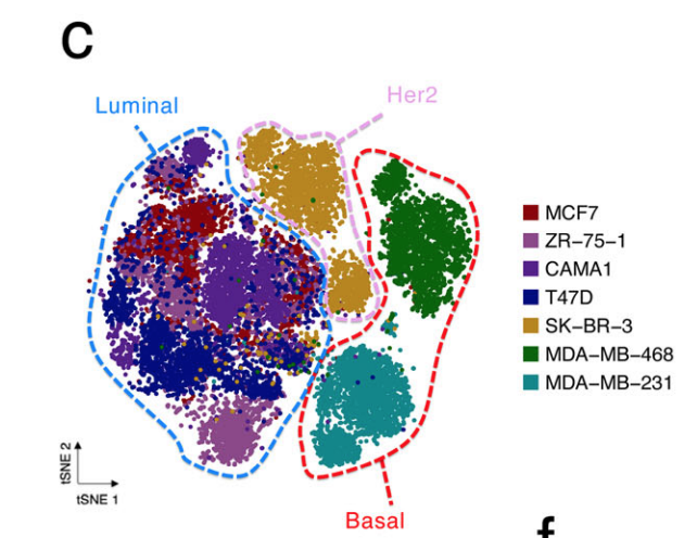 How to plot expression of a single cell marker in a Seurat object ...