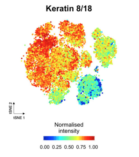 How To Plot Expression Of A Single Cell Marker In A Seurat Object · Issue 6961 · Satijalab