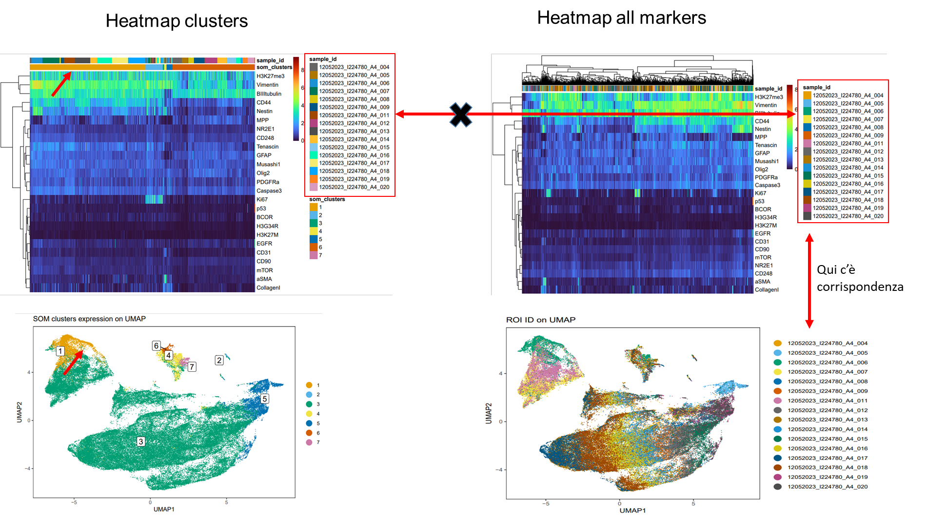 Same sample colors between different heatmaps · Issue #80 ...